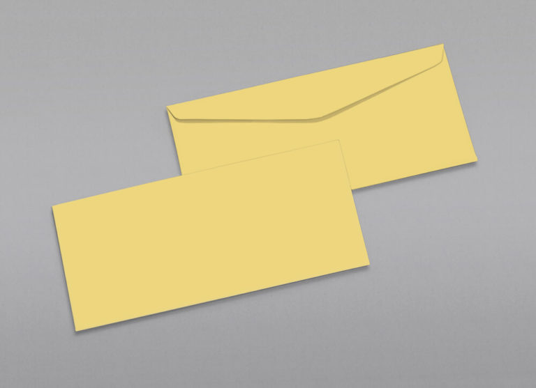 Custom Printed #9 Regular Envelopes with Gum Adhesive